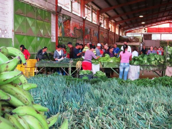 Cecosesola: La cooperación para atender necesidades comunes - Comunas ...